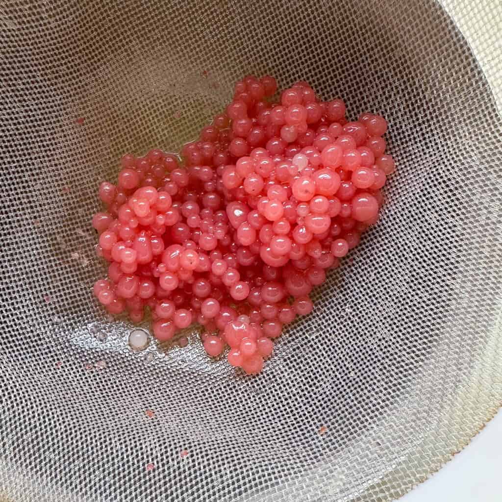 How To Make Fruit Caviar - Rosanna ETC