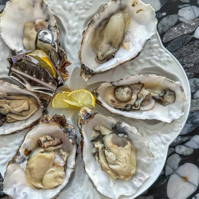 The Ultimate Guide To Serving Fresh Oysters At Home - Rosanna ETC